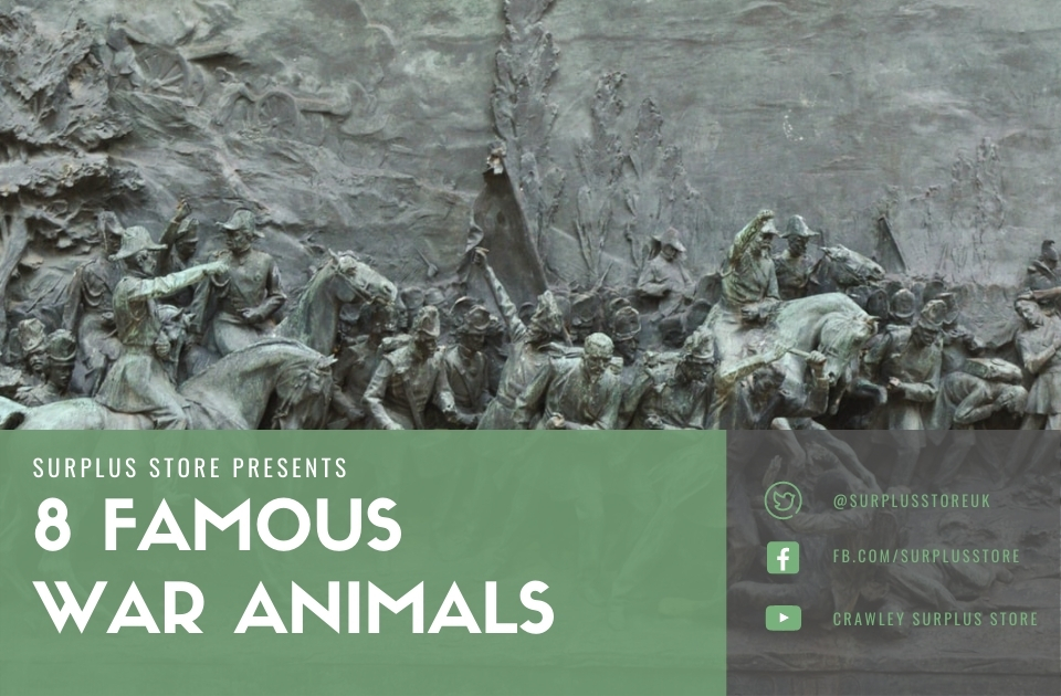 Eight Famous War Animals | Surplus Store
