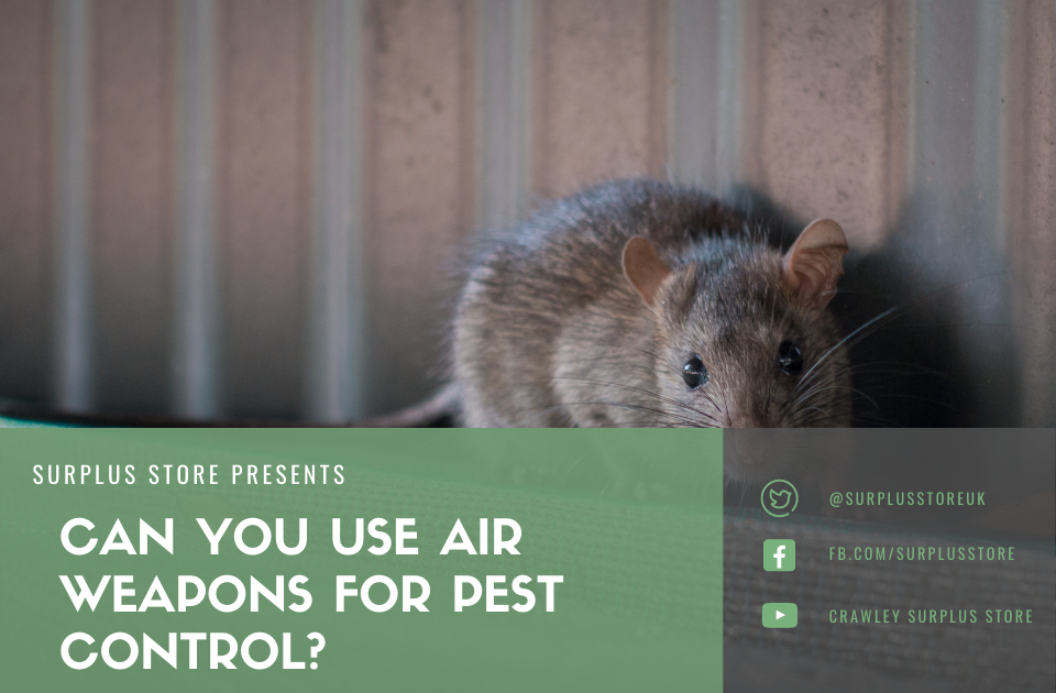 Can You Use Air Weapons For Pest Control? | Surplus Store